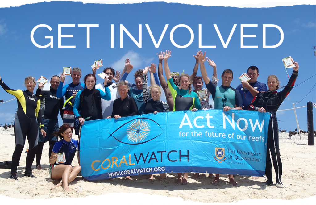 Coral Watch | Citizen Science on the Reef