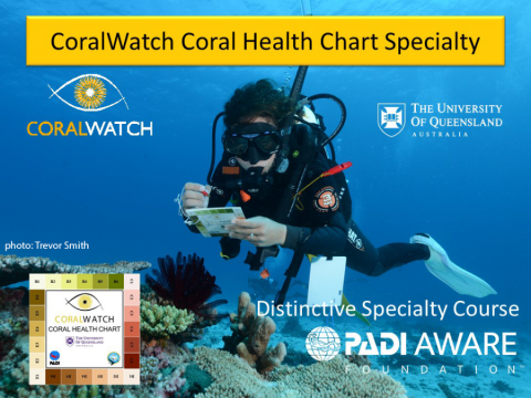 CoralWatch PADI Coral Health Chart Distinctive Specialty | Coral Watch