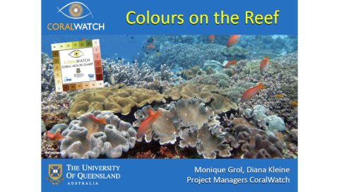 Colours on the Reef | Coral Watch