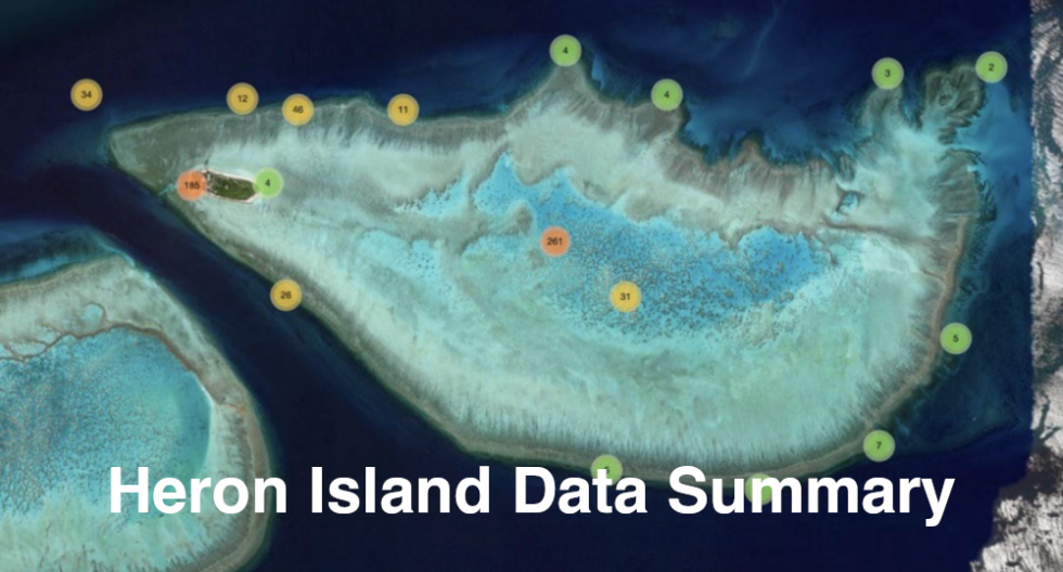Data analysis | Coral Watch