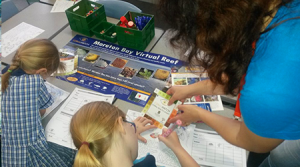 Get Involved | Coral Watch