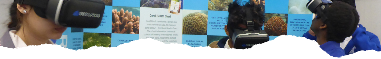 FAQs | Coral Watch