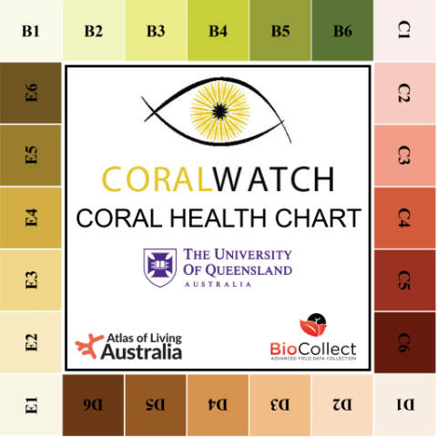 Coral Health Chart | Coral Watch