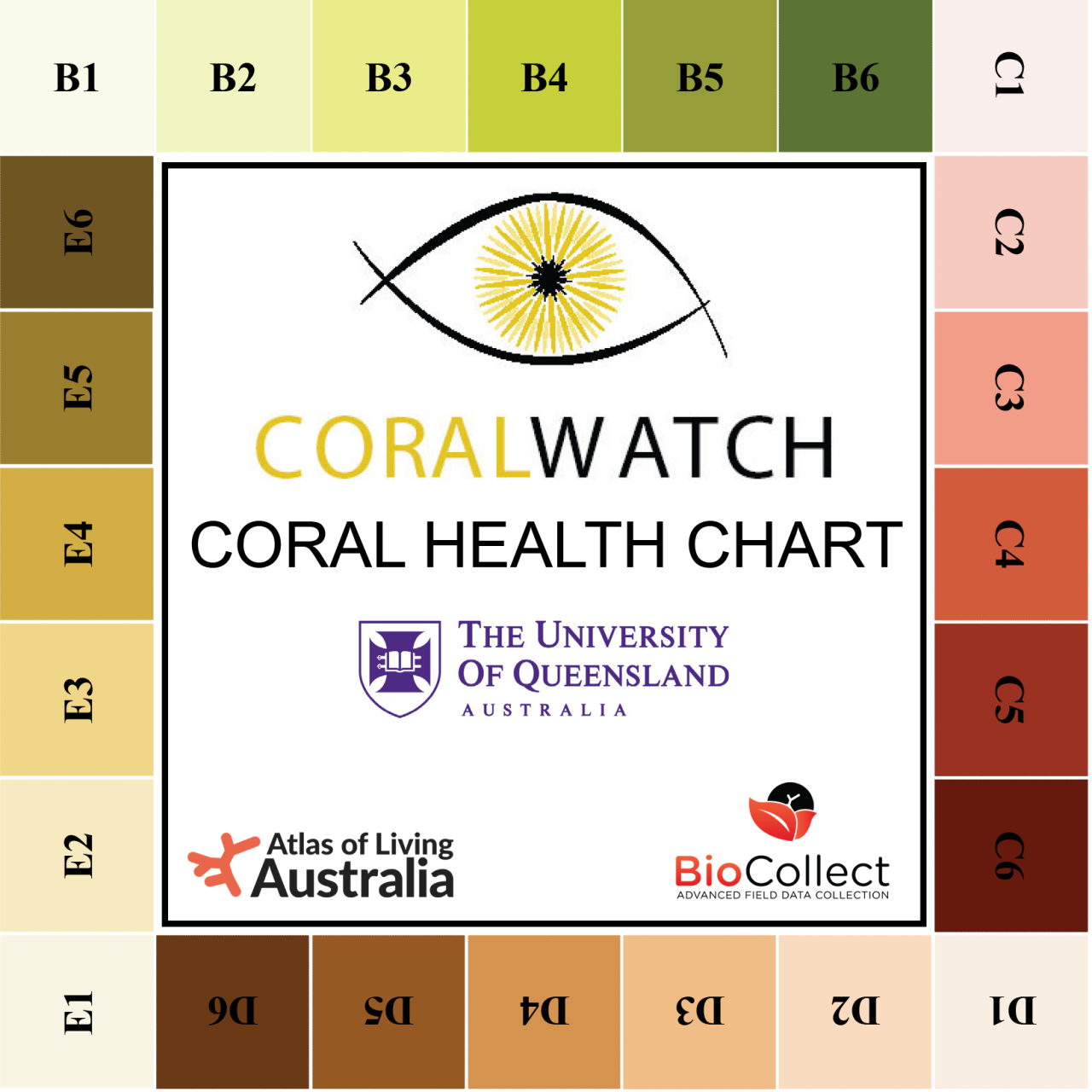 Coral Watch | Citizen Science on the Reef
