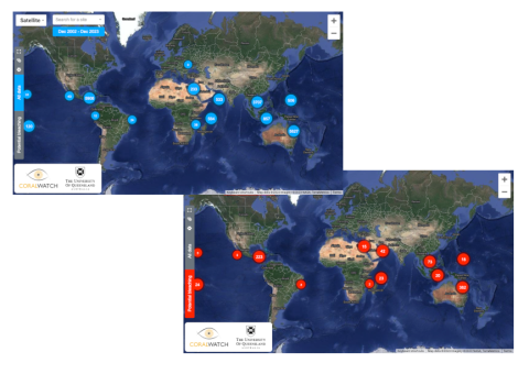 New CoralWatch Interactive Data Map | Coral Watch