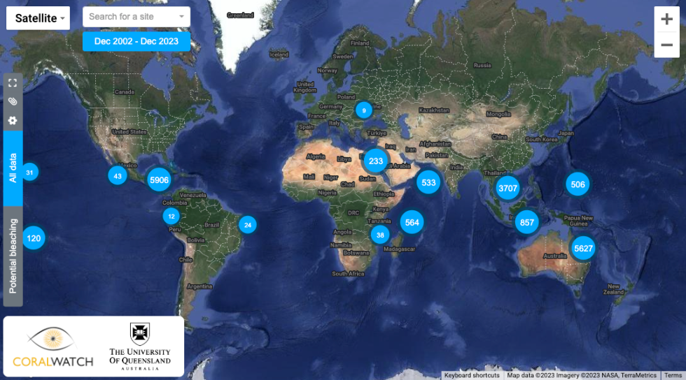New CoralWatch Interactive Data Map | Coral Watch