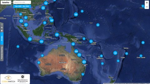 Coral Watch | Citizen Science on the Reef