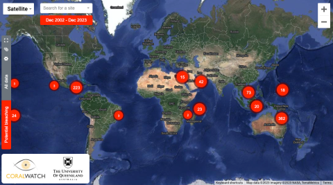 New CoralWatch Interactive Data Map | Coral Watch