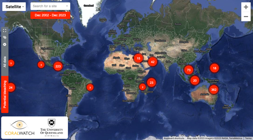 New CoralWatch Interactive Data Map | Coral Watch